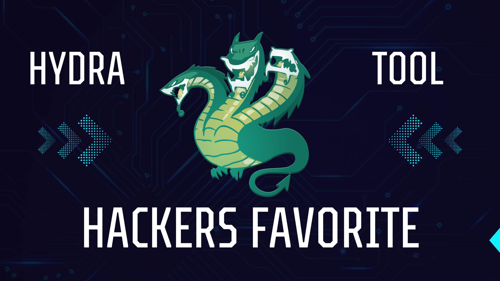 Unleashing Hydra tool : A Comprehensive Guide for Ethical Hackers - 47Cyber